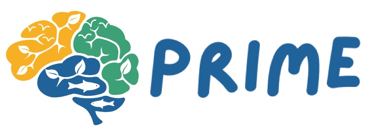 PRIME: Platform for Research and Interventions in Youth Mental Health ...